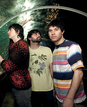 Animal Collective to record new music later this year