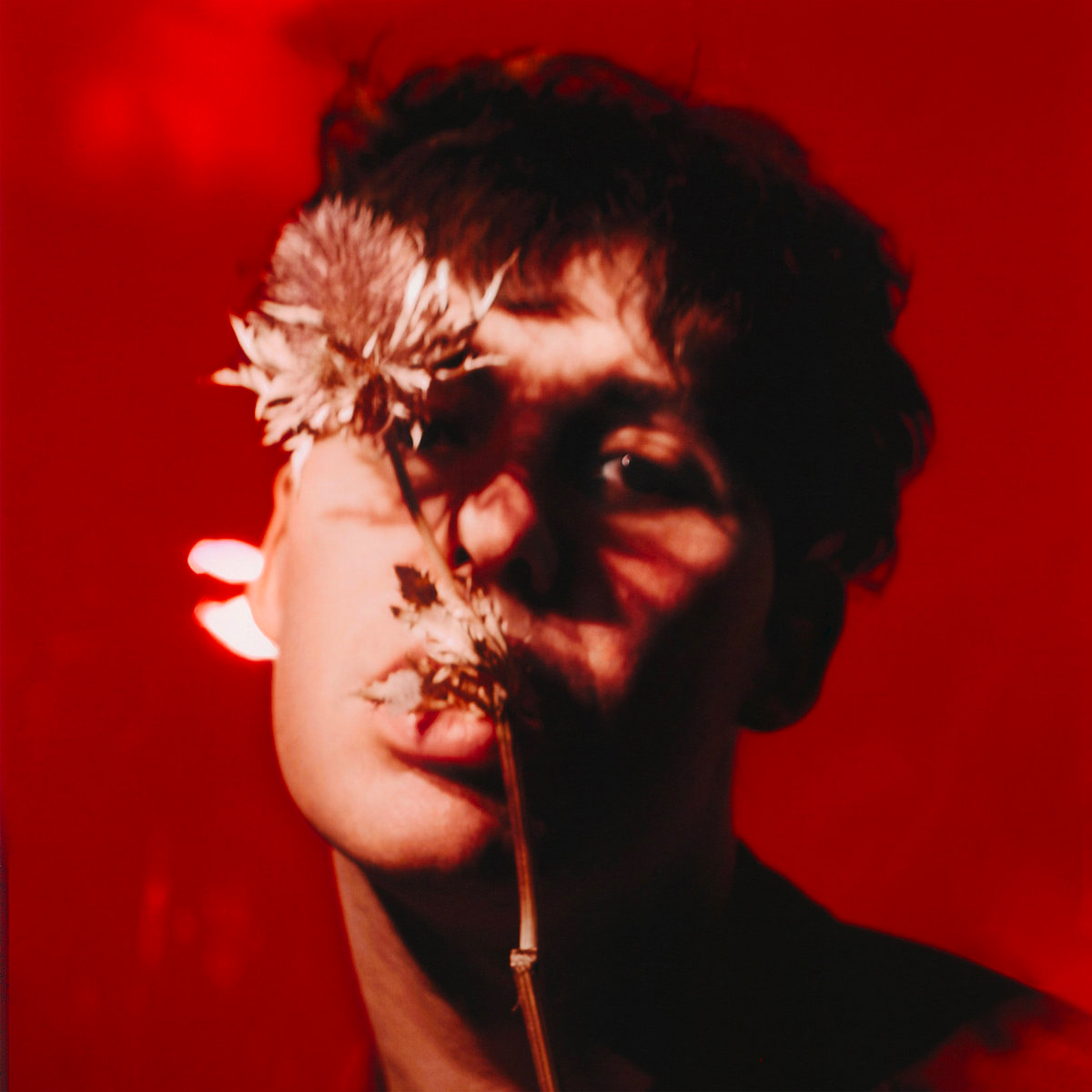 The 15 best Australian albums of 2020 – so far